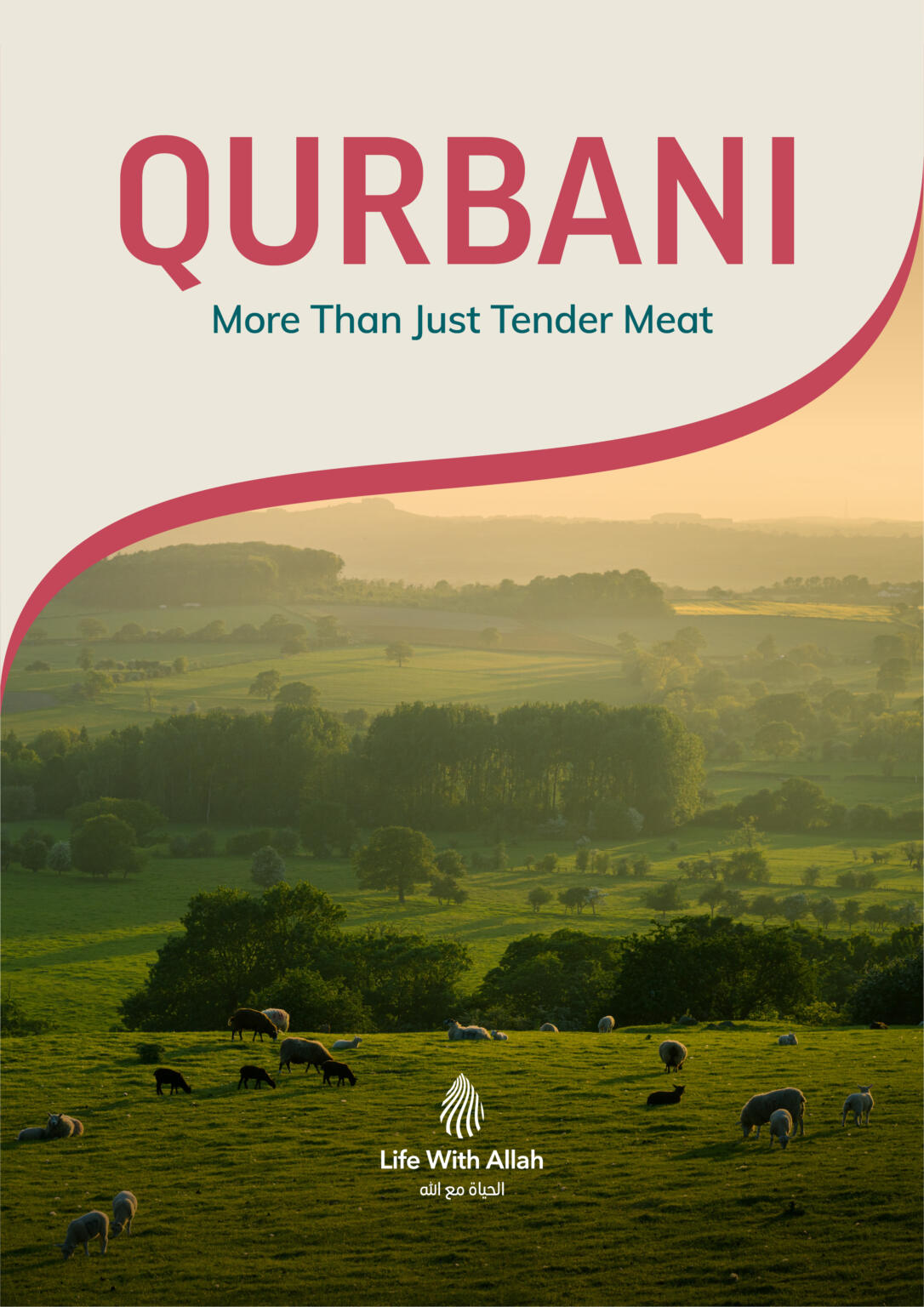 Qurbani – More Than Just Tender Meat – Life With Allah