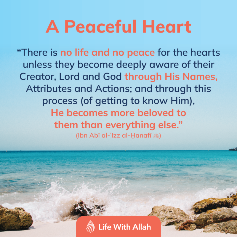 Knowing Allah – Life With Allah