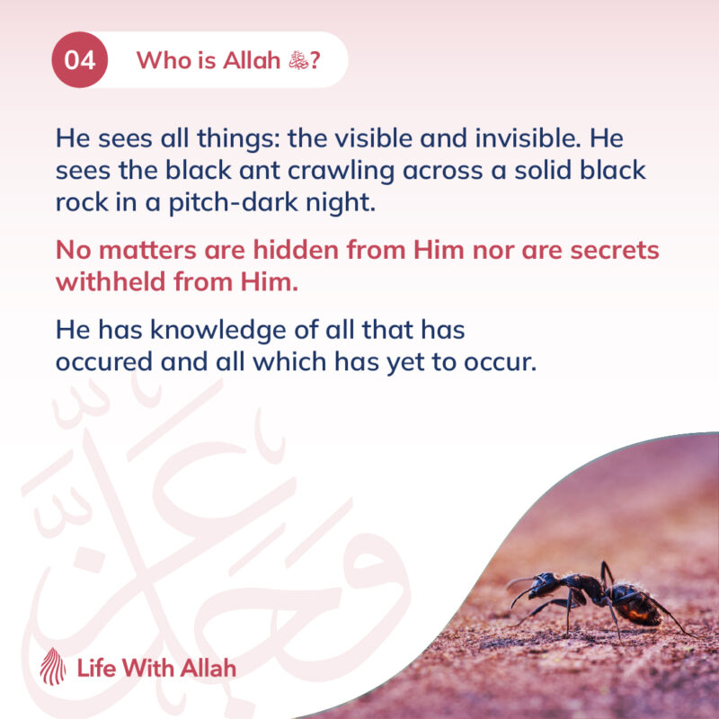 Knowing Allah – Life With Allah