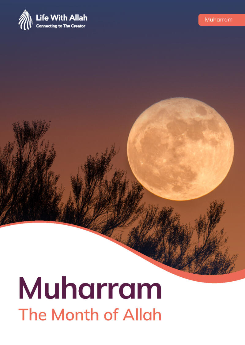 Life With Allah – Connecting to The Creator