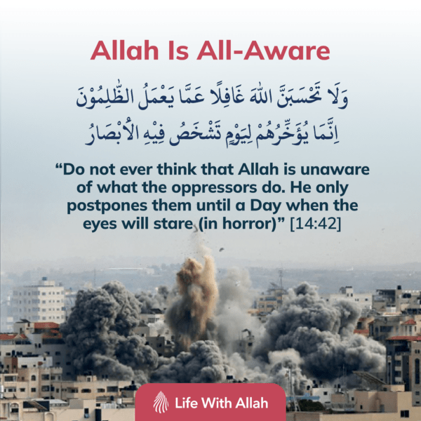 Knowing Allah – Life With Allah