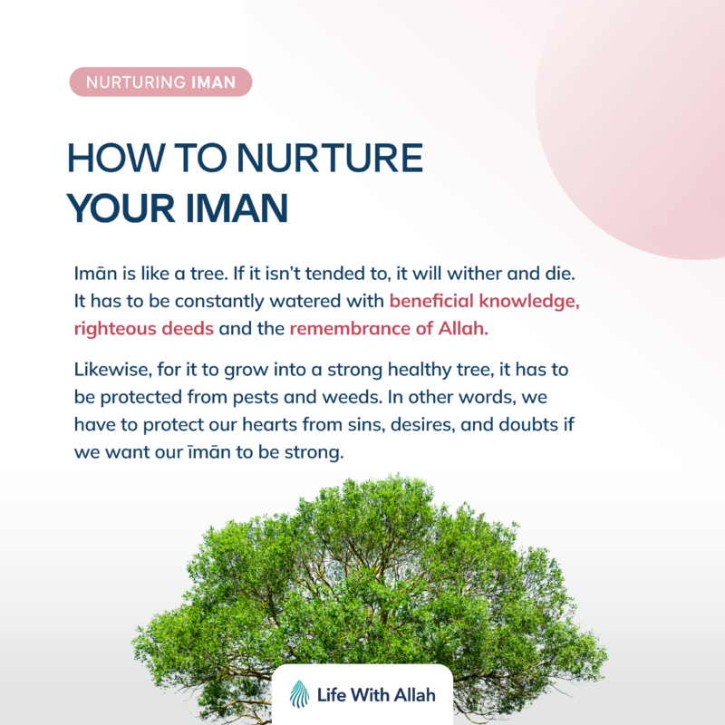 Iman – Life With Allah