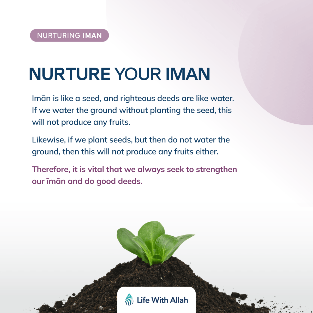 Iman – Life With Allah