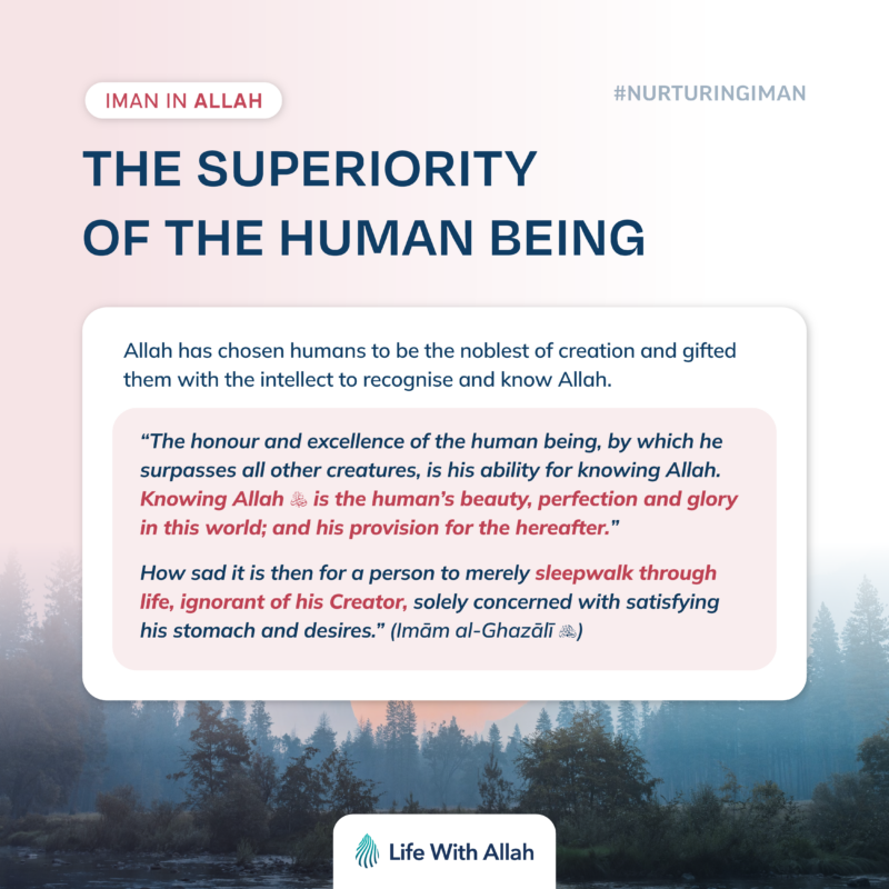 Iman – Life With Allah