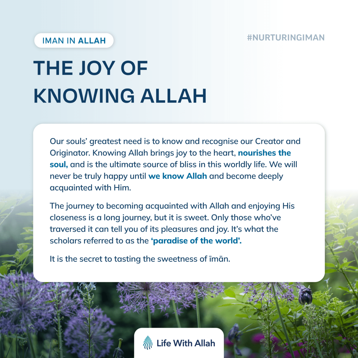 Knowing Allah – Life With Allah