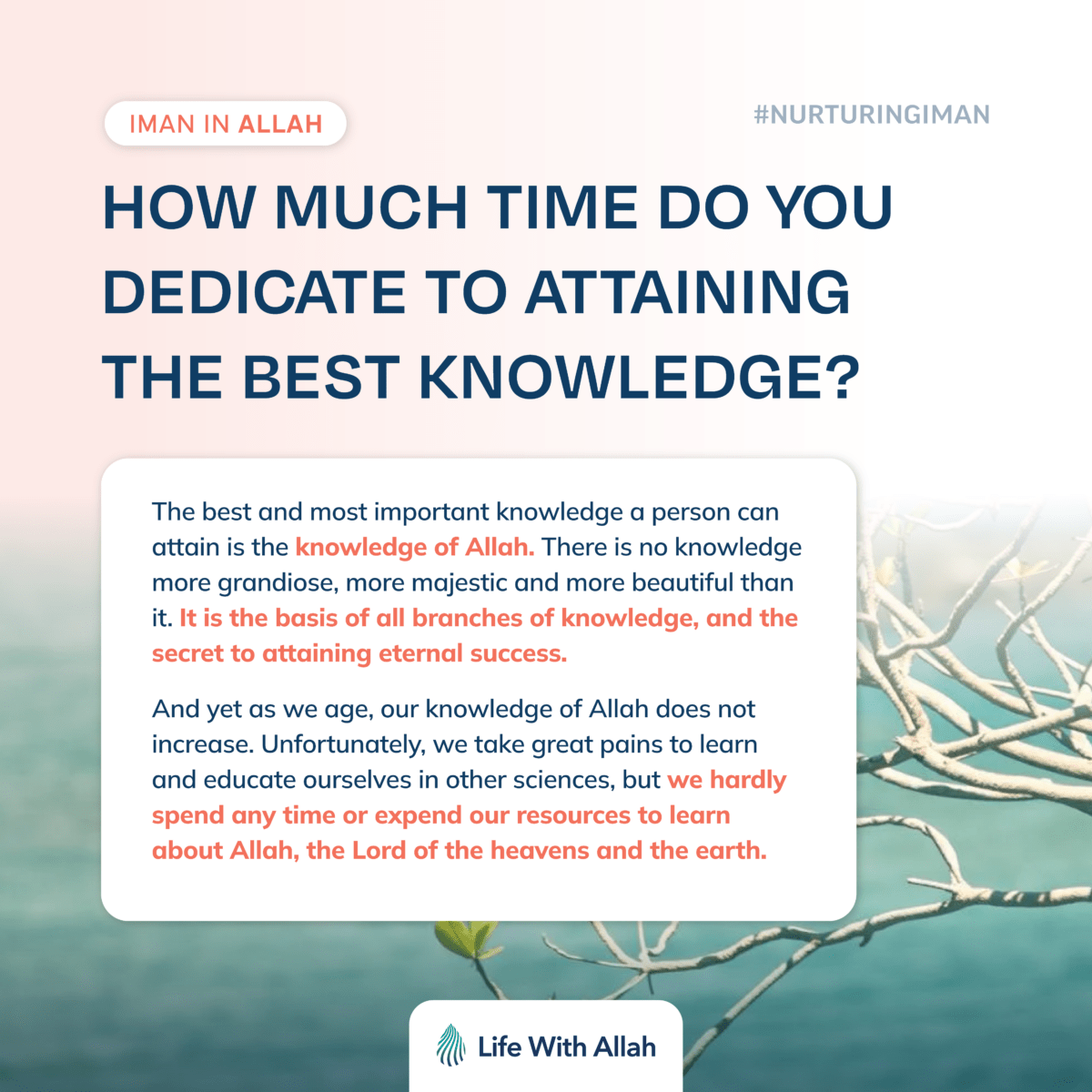 Iman – Life With Allah