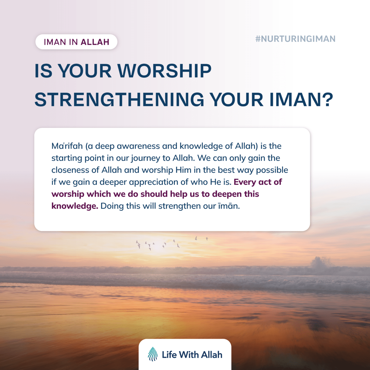 Iman – Life With Allah